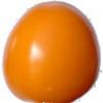 tomato Classification Model by 10222