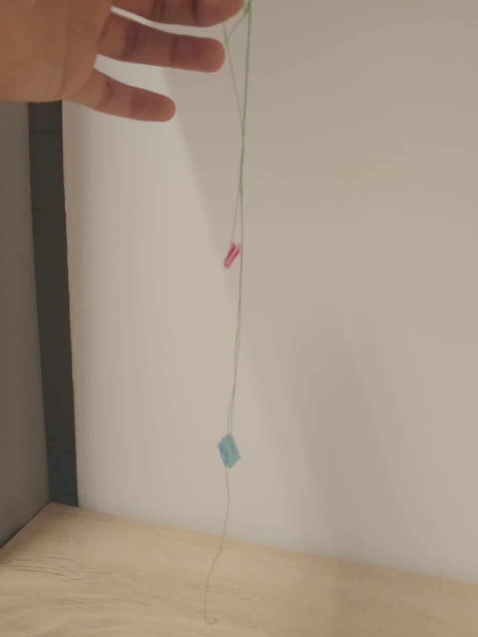 Detection harmful Insects Object Detection Dataset and Pre-Trained Model by Raya