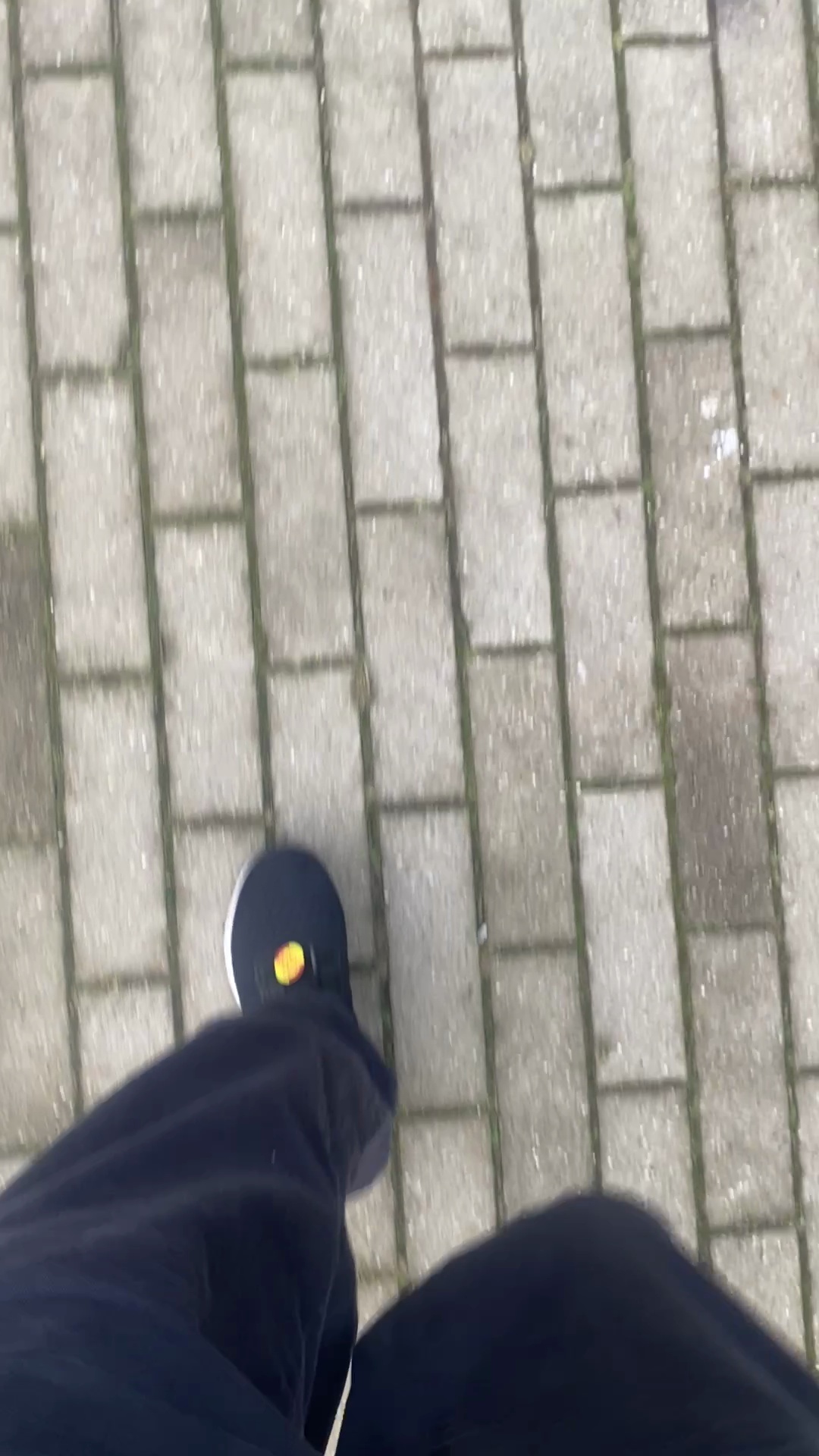 hiking-marker-mvp-new-badge Object Detection Dataset by HikeMaster