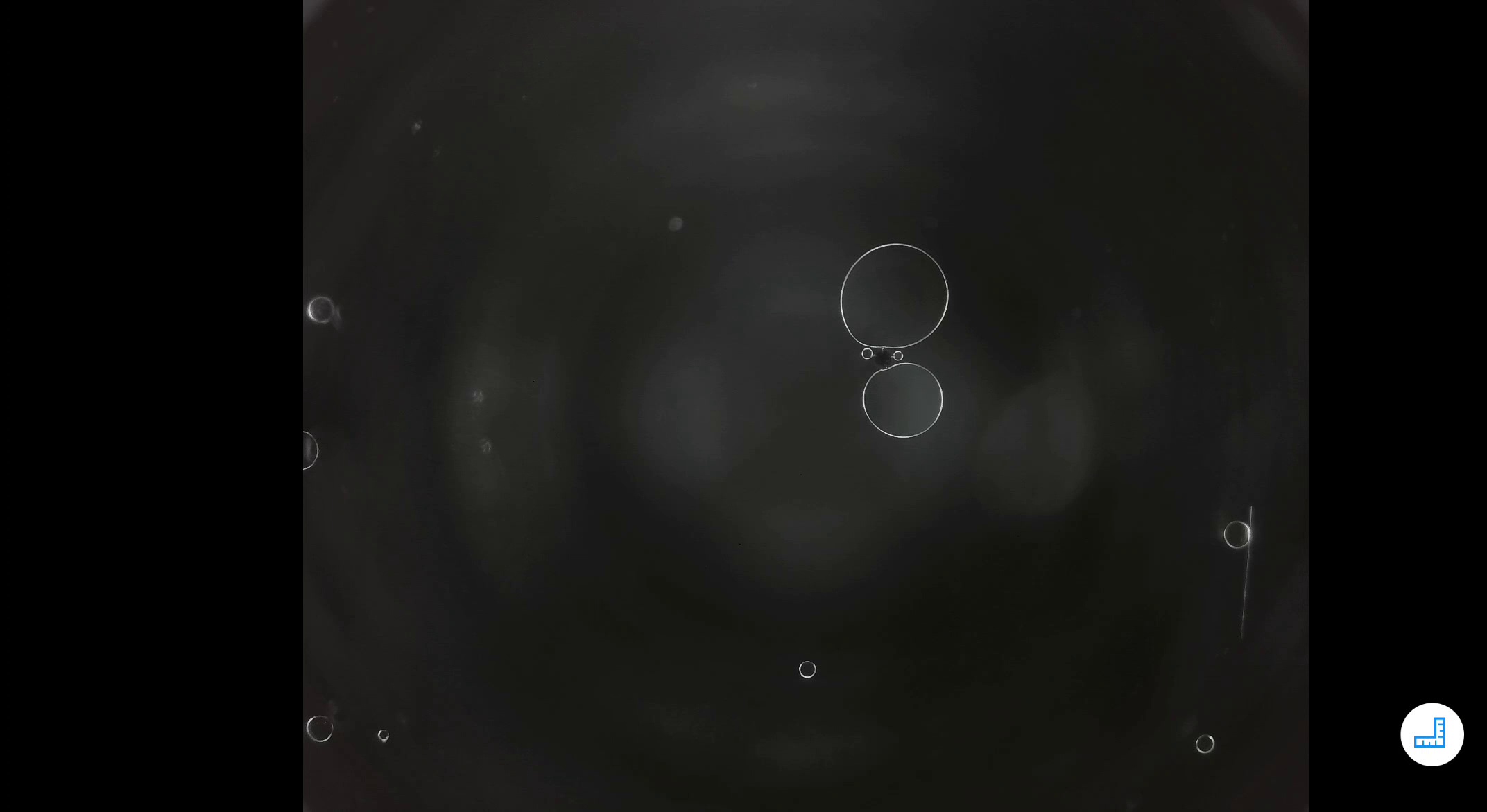 Bubble Instance Segmentation Dataset By Yuyuyu