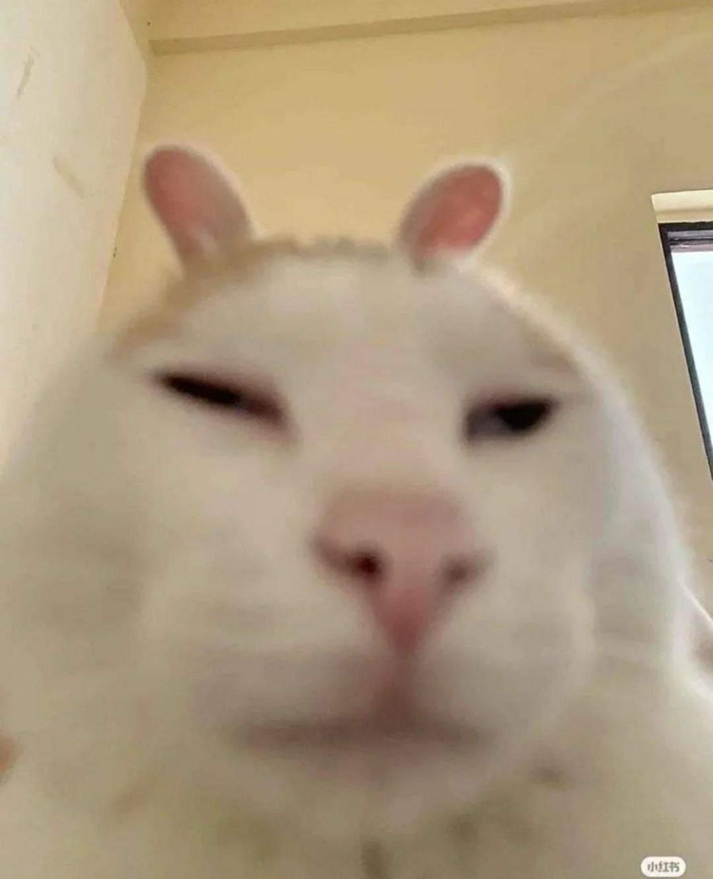 GF_Classification Object Detection Dataset and Pre-Trained Model by GFClassification