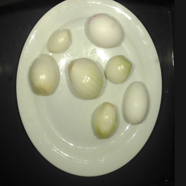 egg Object Detection Dataset and Pre-Trained Model by egg