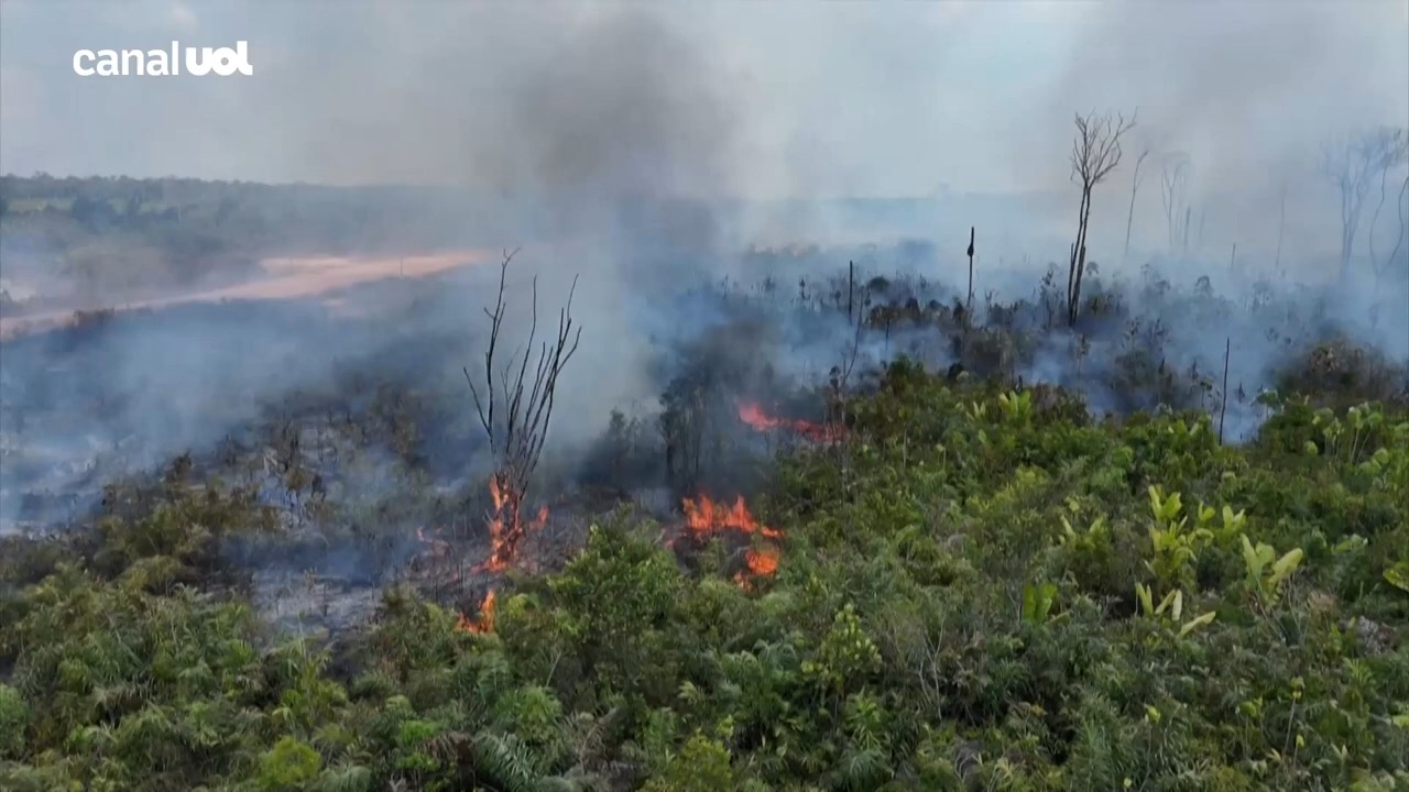 Wildfire Object Detection Model by project-zc8he