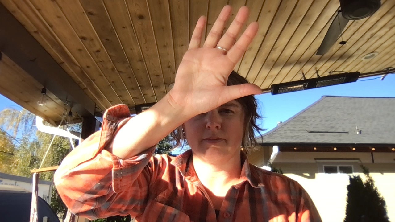 Hand Detection Test 1 Object Detection Dataset and Pre-Trained Model by ...