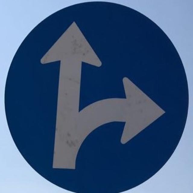 Extended Traffic Signs Project Object Detection Dataset By Salat Postures