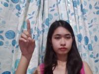 DSP (dsp-llvui) - Roboflow Universe