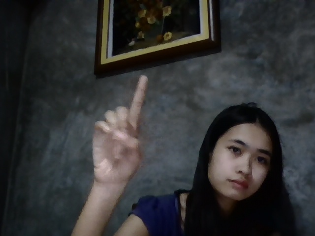 ASL addition Object Detection Model by DSP