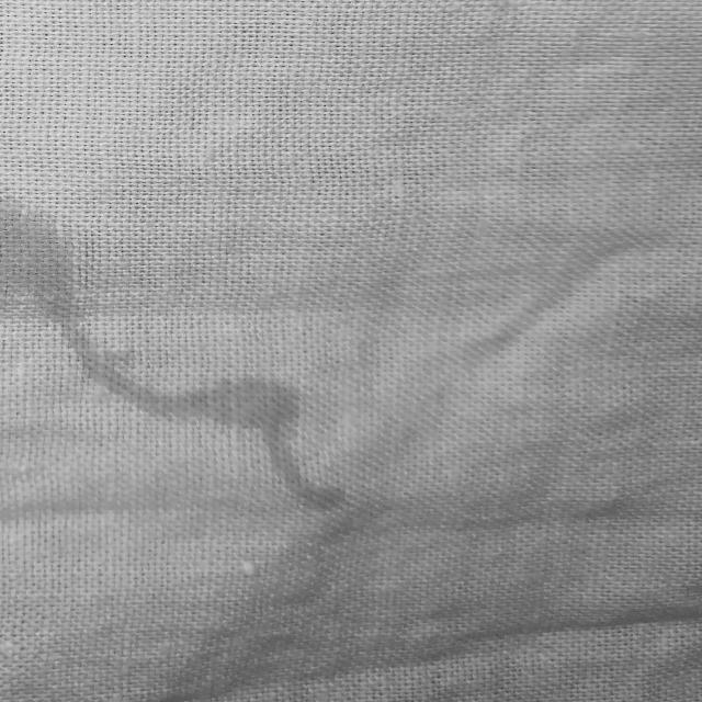 How to Use the hsj fab Object Detection API