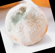 machine learning (machine-learning-jyikb) - Roboflow Universe