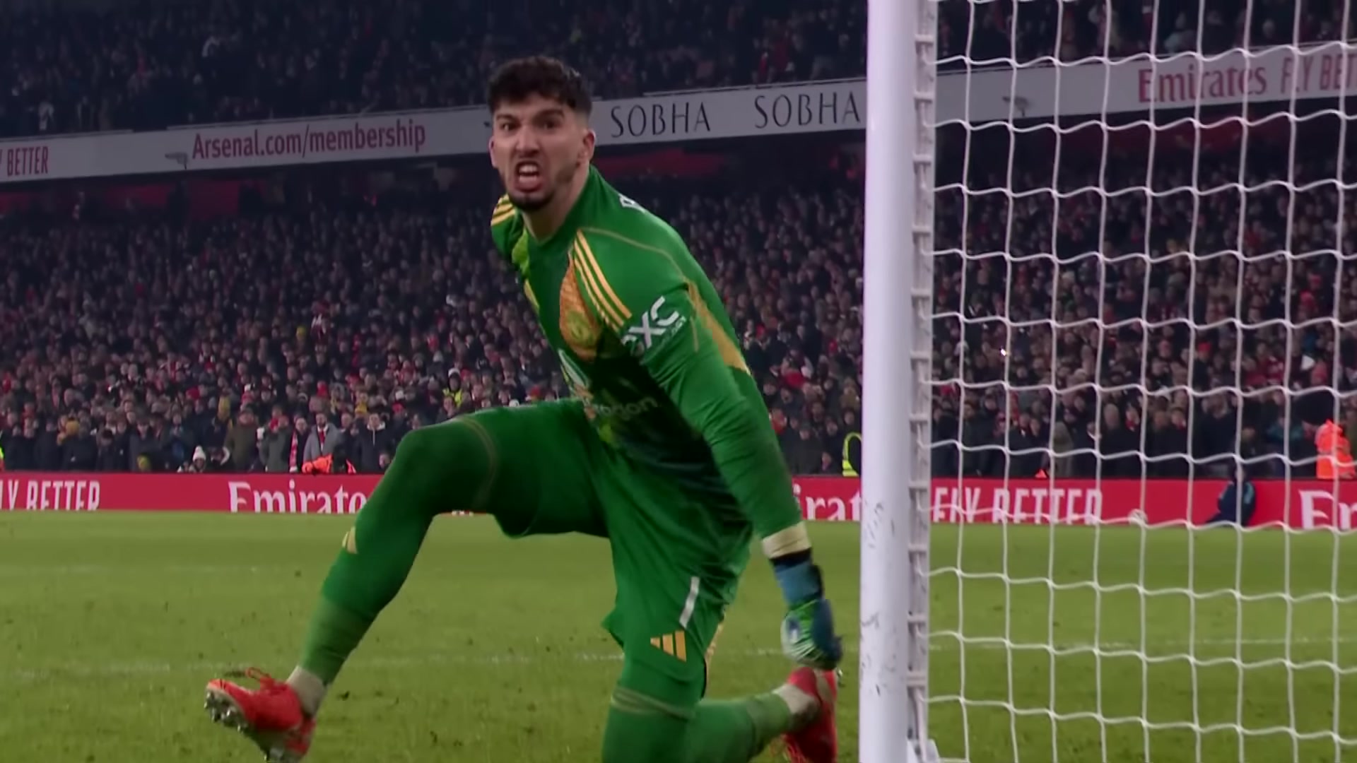 Logo Detection Validation Object Detection Dataset by Platformation