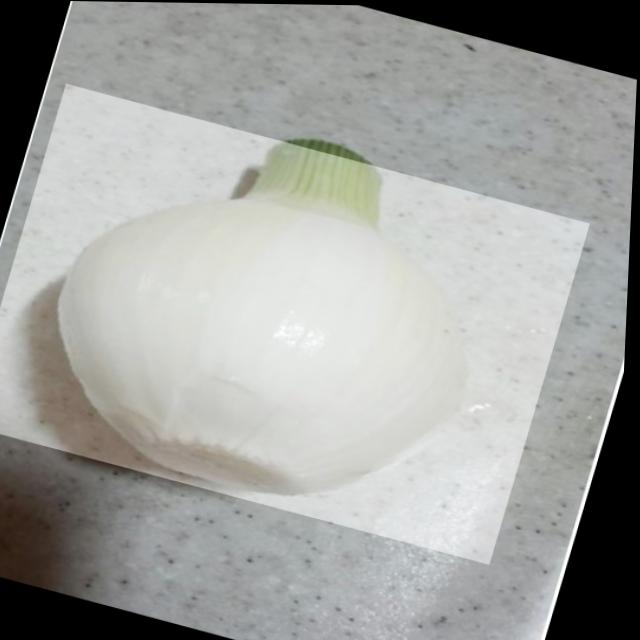 Onion Detection Object Detection Dataset by Nowrosjee Wadia College