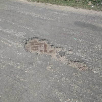 Detectron Object Detection Dataset by YOLOv4