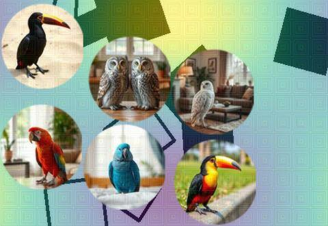 discord Object Detection Model by csolver