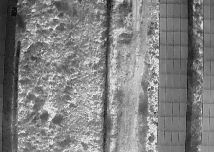 koustav assignment 3 Instance Segmentation Model by project