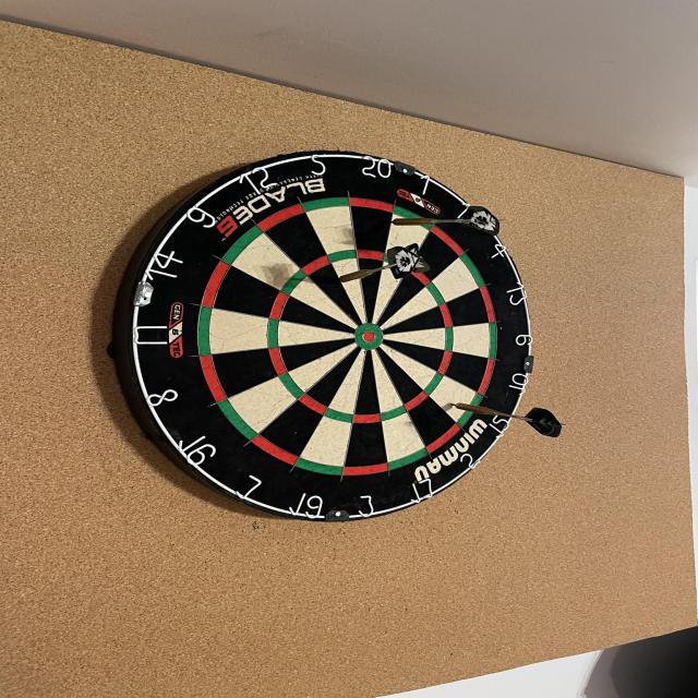 Board Dart Detect Instance Segmentation Model By Board Detection