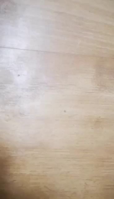 Iot_TP3 Object Detection Dataset and Pre-Trained Model by IOT