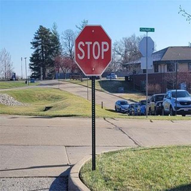 dash alert - Roboflow Universe