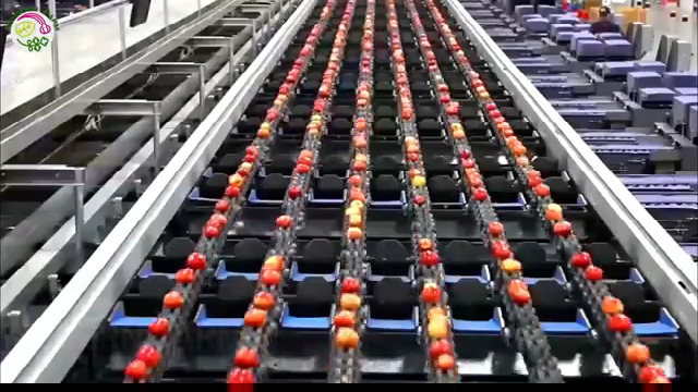 Apples_Video_Dataset Object Detection Model by Apple