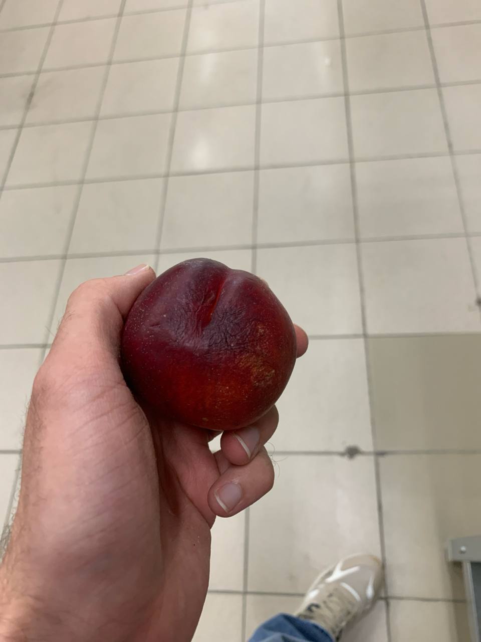 Fruit Ripeness Detection Object Detection Dataset By Apple