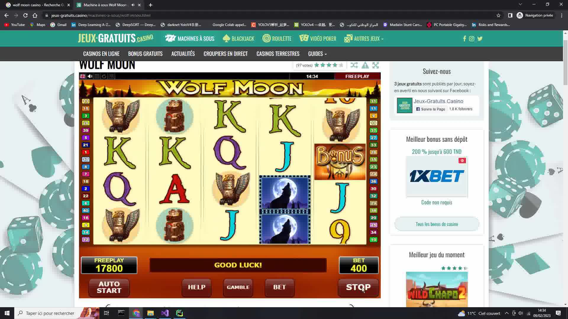 wolf Object Detection Model by wolf