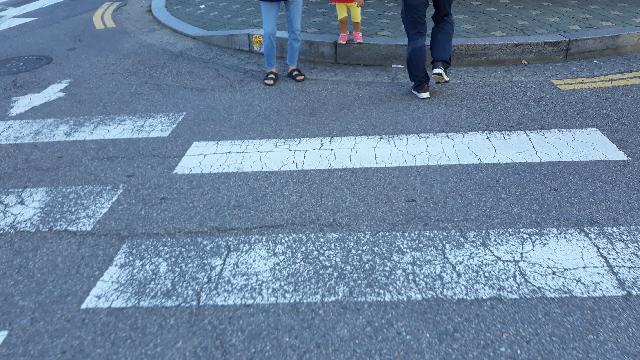 sidewalk Semantic Segmentation Dataset by Dongeui University