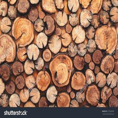 Log_Count_Object_Detection Object Detection Dataset by countobj