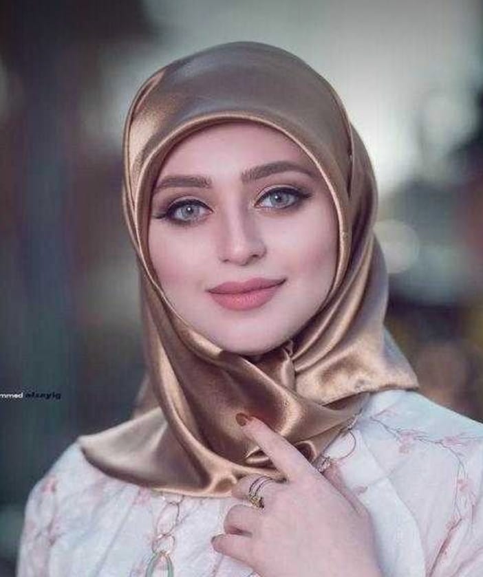 Hicab Object Detection Dataset by gunay