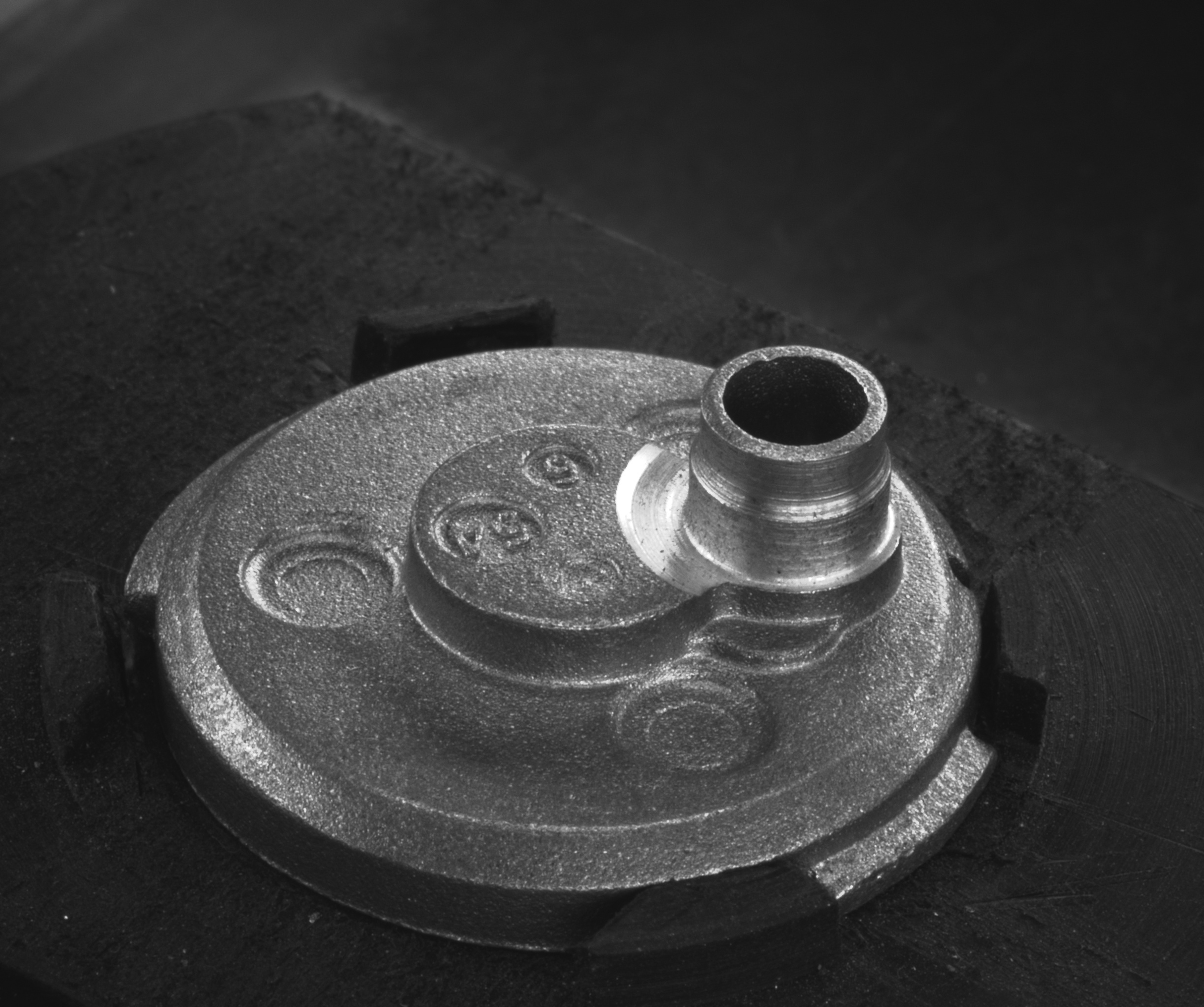 minda_six Instance Segmentation Dataset by keypointlabelyolov8