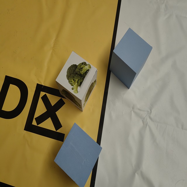 Broccoli Object Detection Dataset by darknetyolov3