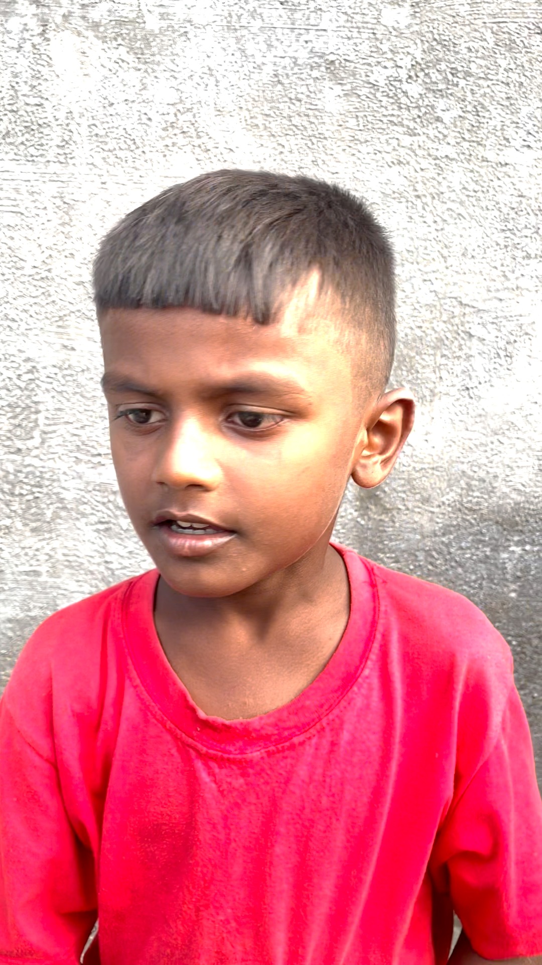 SL-C5 Object Detection Dataset by SL