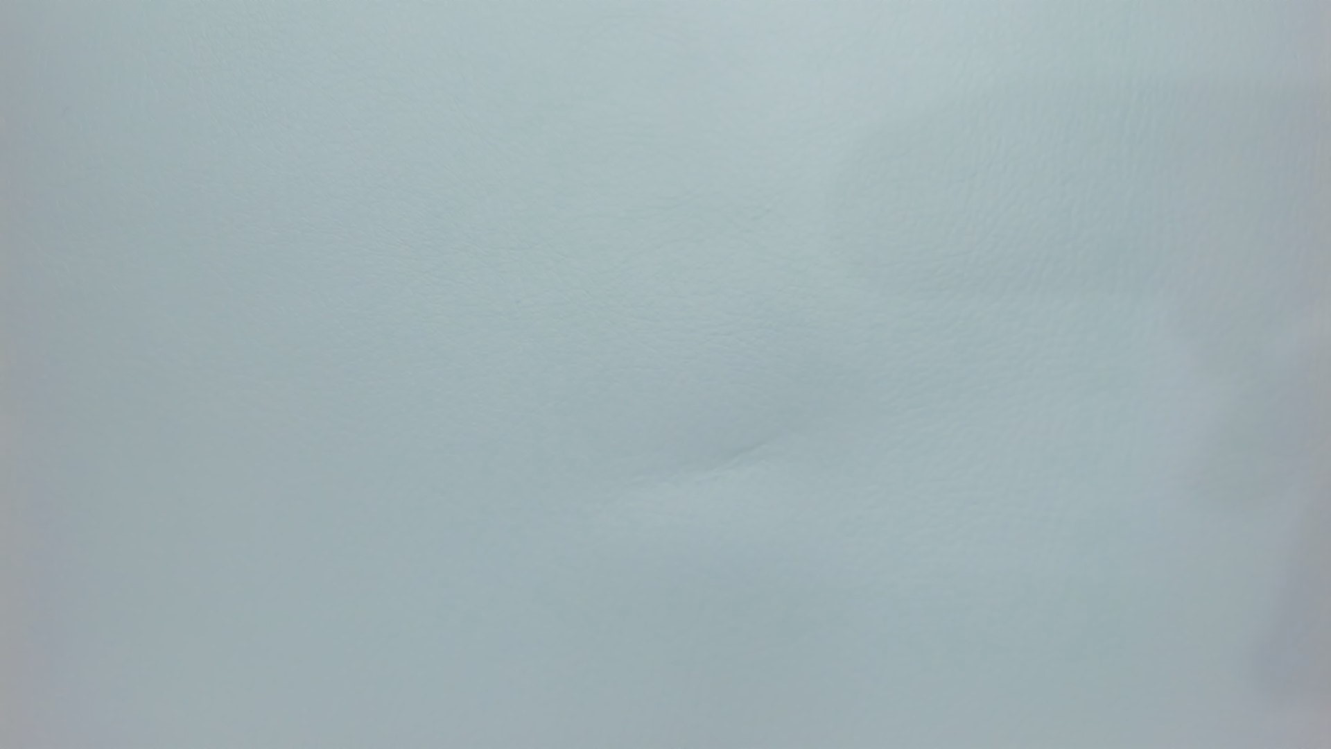 YOLOV8 Instance Segmentation Model by CSI