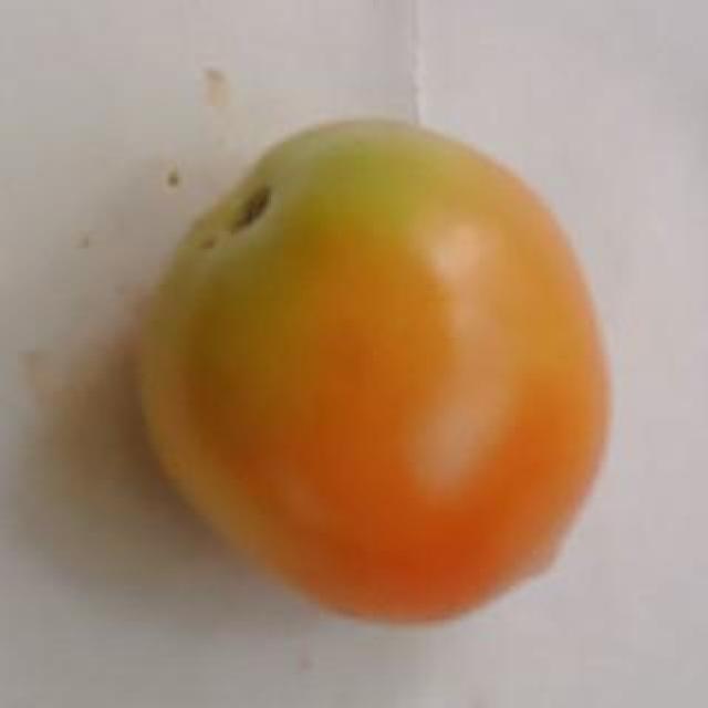 Copy Project Agumentation 7831 Object Detection Dataset And Pre Trained Model By Posco