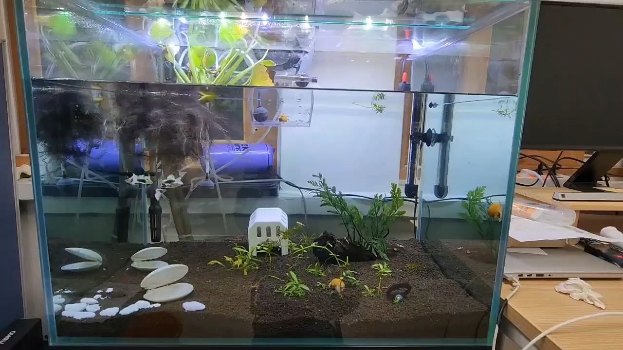 FISH (fish-aj1sc) - Roboflow Universe