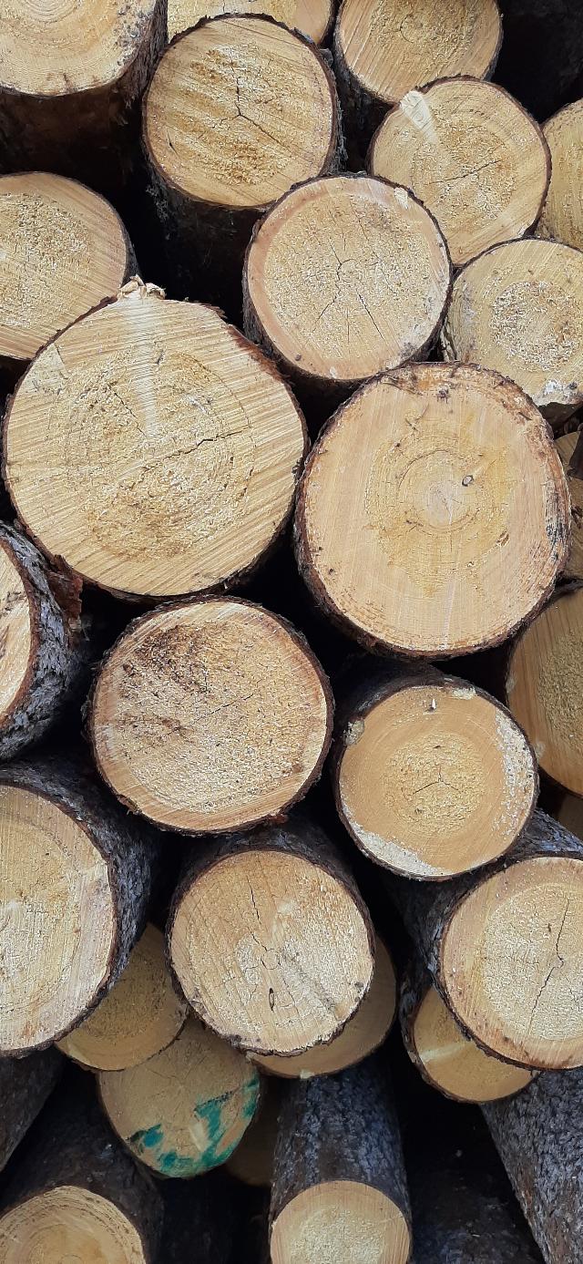 Daniel Maier (daniel-maier-epclb) - Roboflow Universe