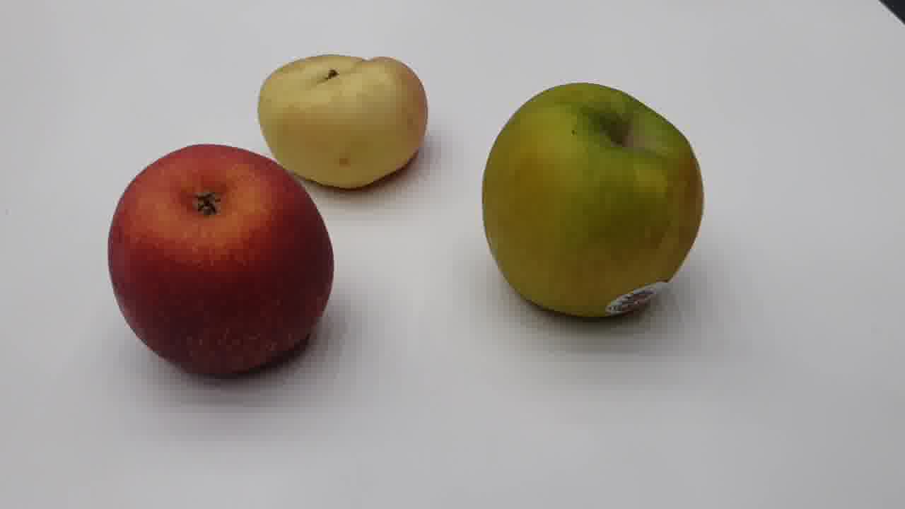 apple Object Detection Dataset by daddanelli