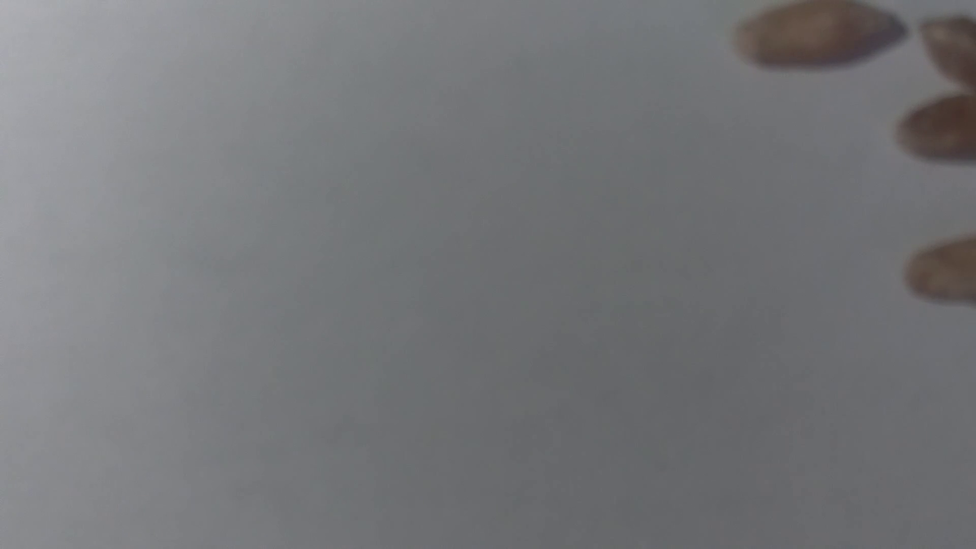 Wheat Health Object Detection Dataset And Pre Trained Model By Wheat Yolo