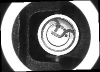 KMITL RCIS - Roboflow Universe