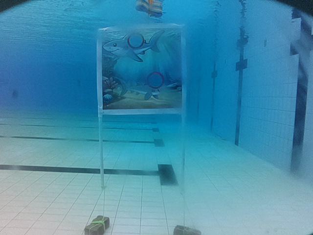 Robosub Object Detection Dataset by dummy