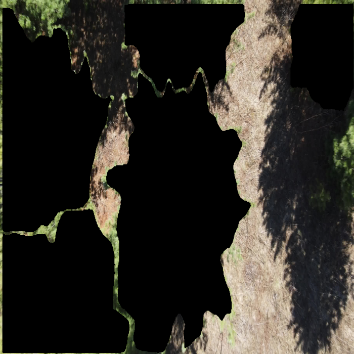 yolo Semantic Segmentation Dataset and Pre-Trained Model by test