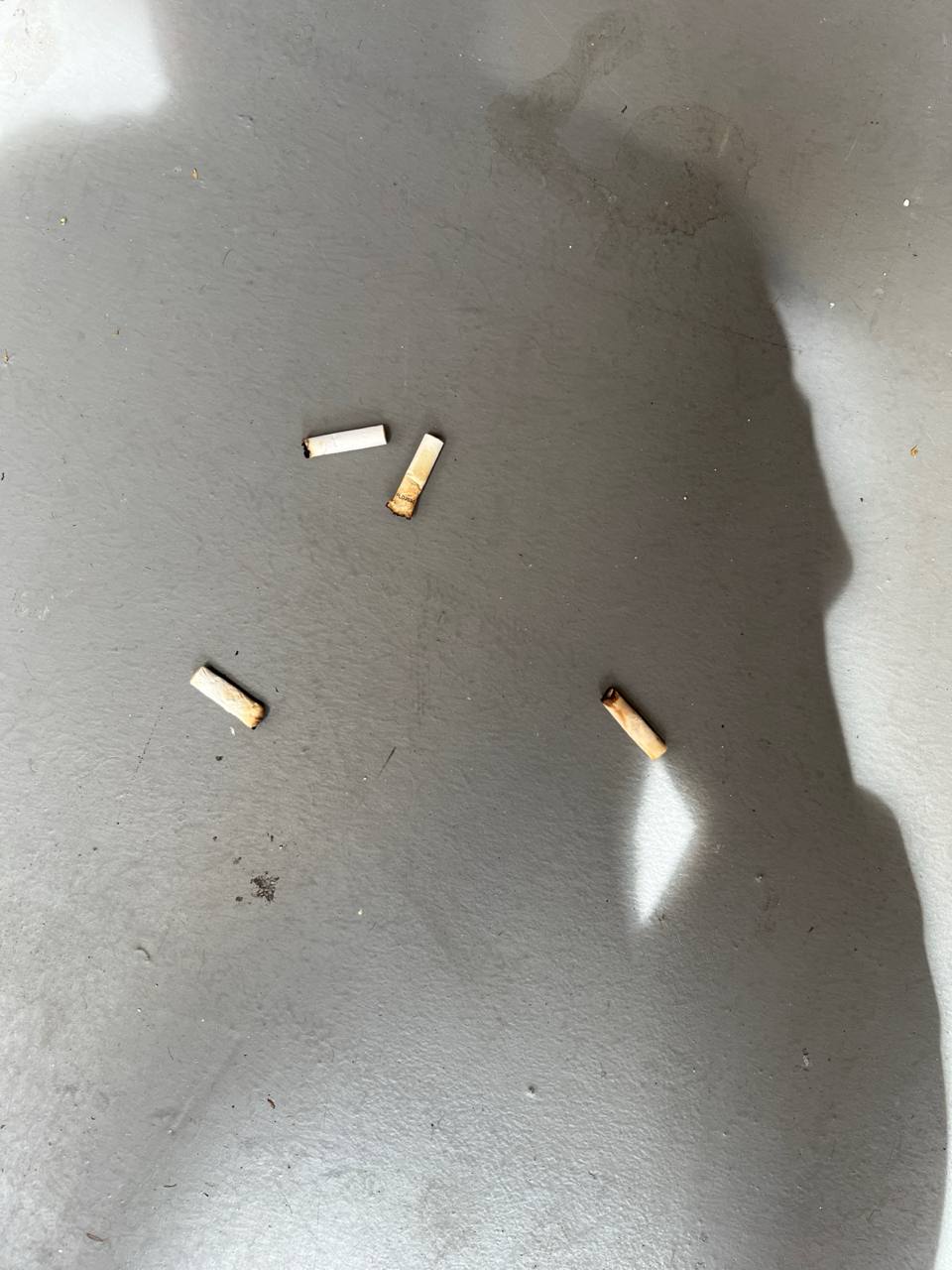 Cigarette Bud Advanced Object Detection Dataset and Pre-Trained Model by NEW WORKSPACE