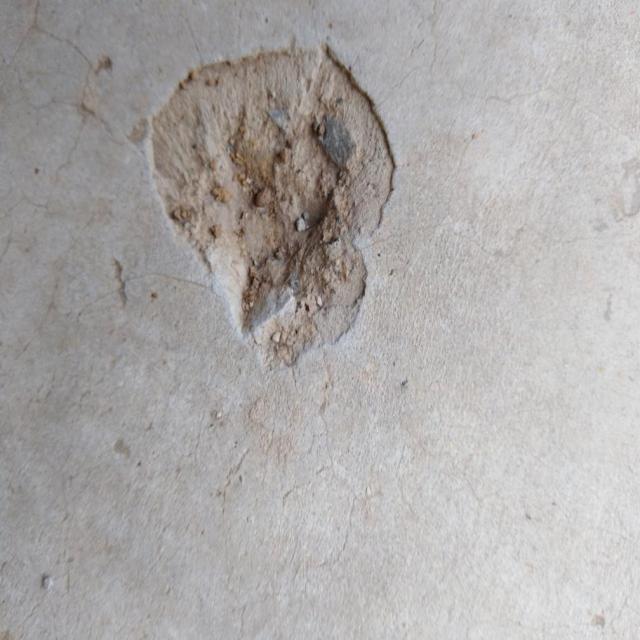 true spalling Object Detection Dataset by WORK