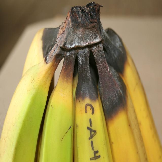 Product Detection Object Detection Dataset By Agricultural Product