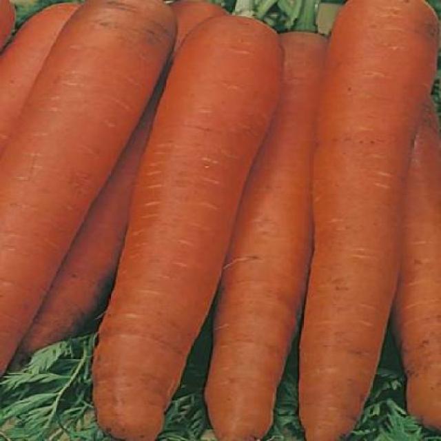 Agricultural Product Detection Roboflow Universe