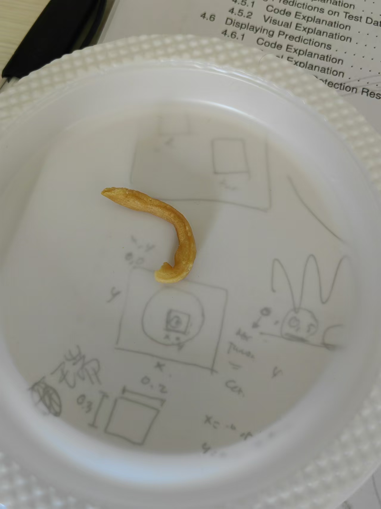 binana Object Detection Model by workshop