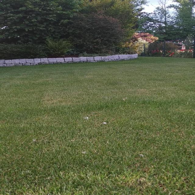 Lawn and Grass Instance Segmentation Model (v14, 2024-02-25 4:12pm) by ...