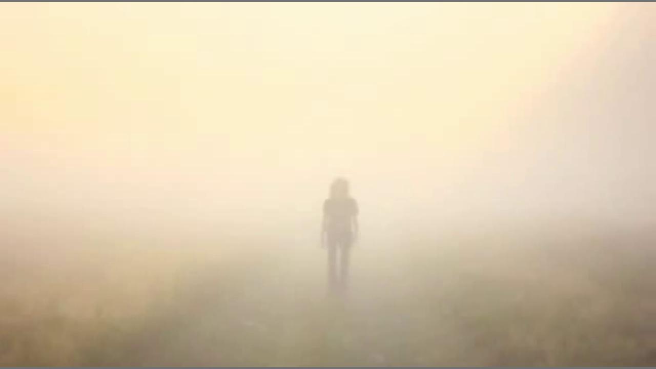 Detection Object Detection Dataset By Project Krue0