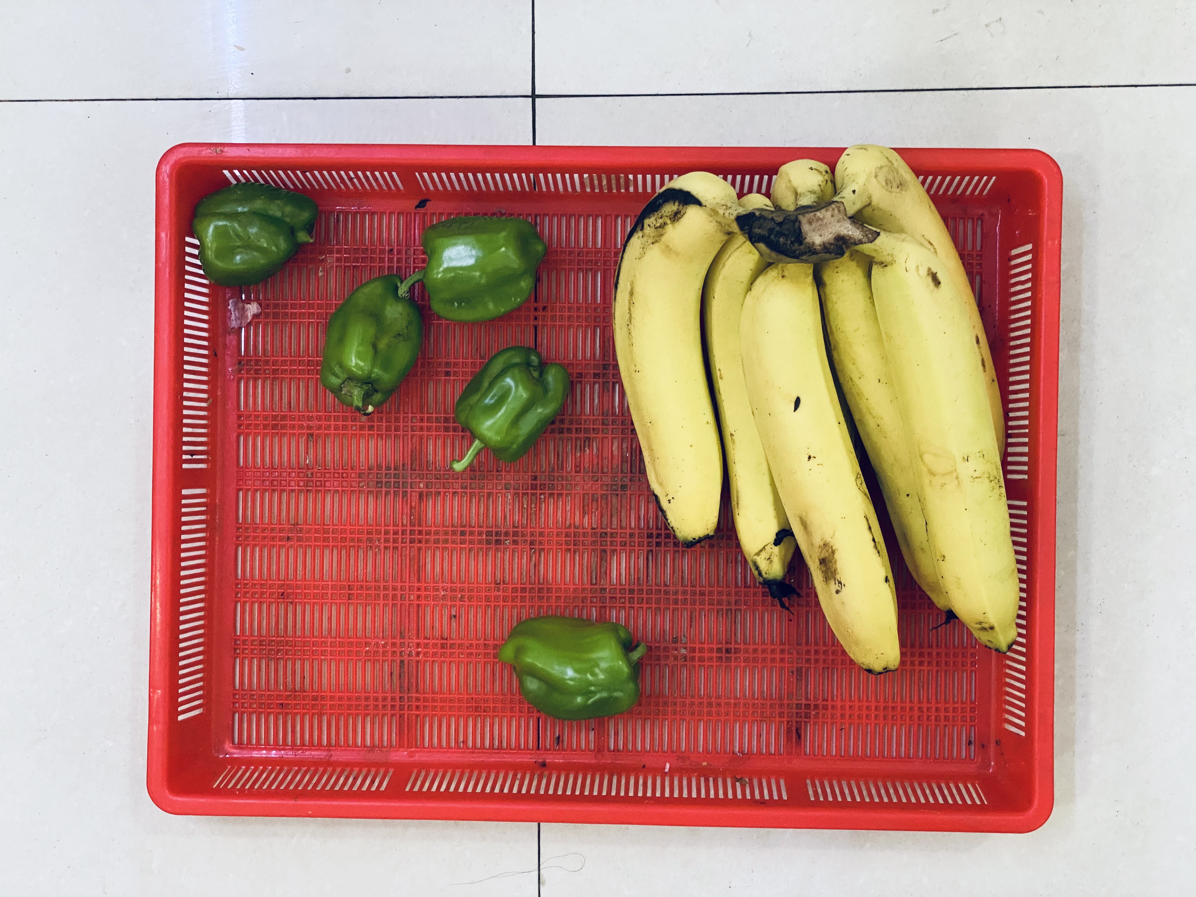 Sampoorna build Object Detection Dataset by Sam Betson