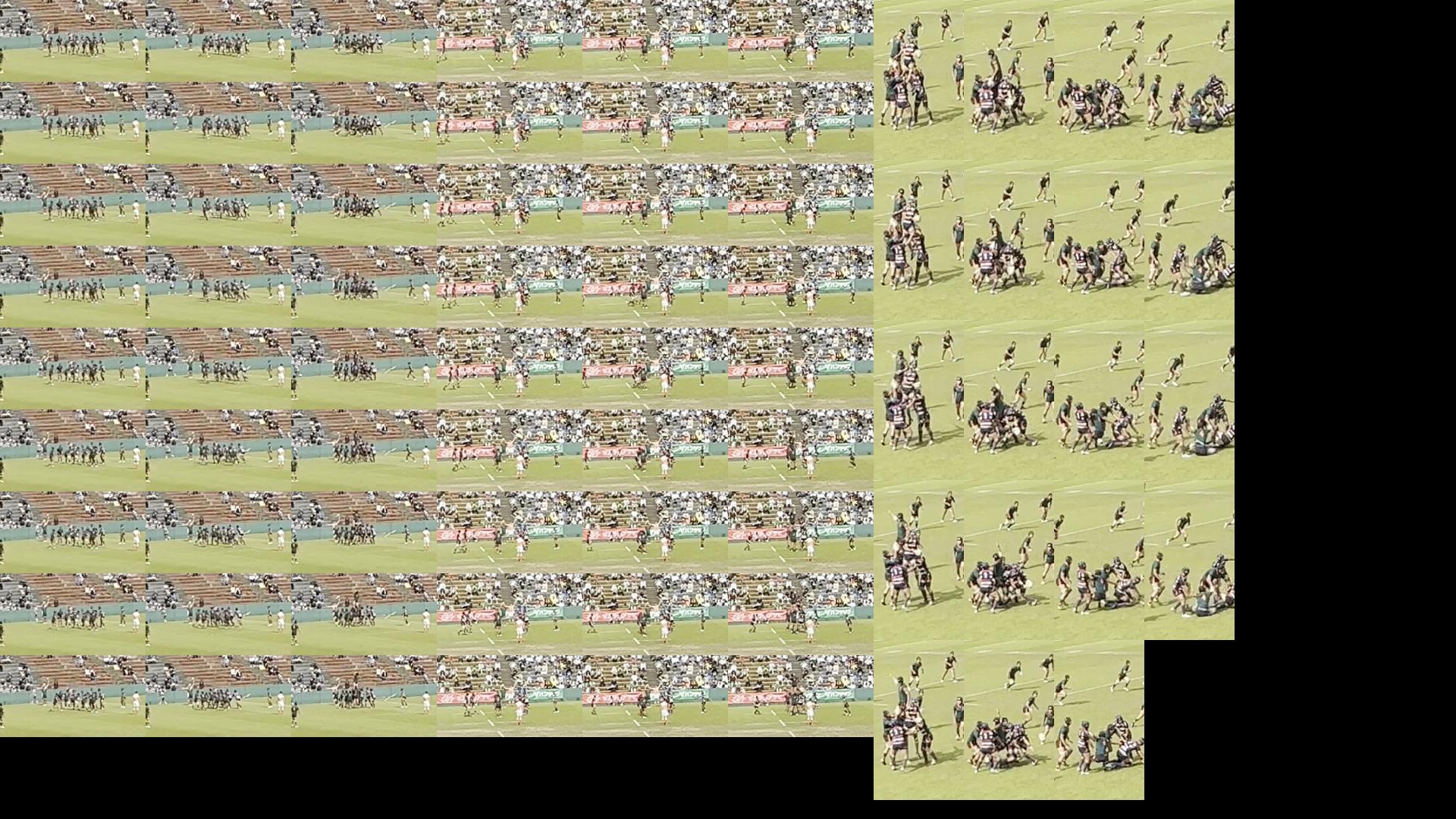 Rugby model Object Detection Model by rugby analysis