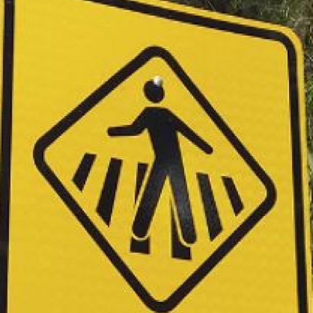 vways-ic Classification Dataset and Pre-Trained Model by placasvways