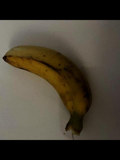 Kitchen Waste Segregation - Roboflow Universe